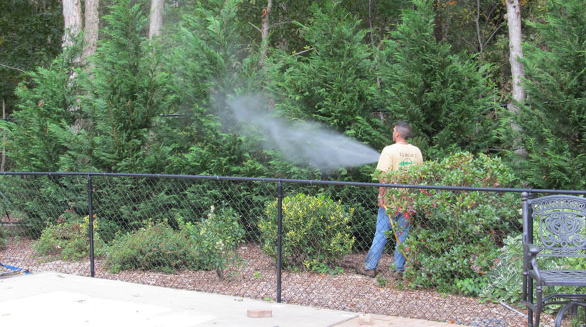 About Us – Long Island Organic Tree Spraying – 631-940-3505 – Target ...